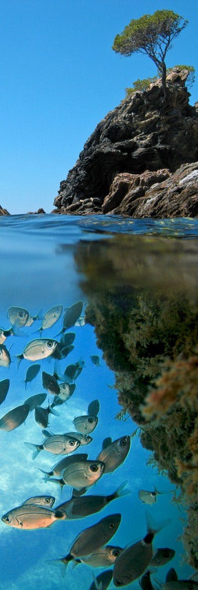 Siente el mar de Roses Costa Brava Rosas - Oferta hoteles y apartamento ...